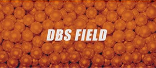 DBS Big Game | DBS's Scenario Paintball Division